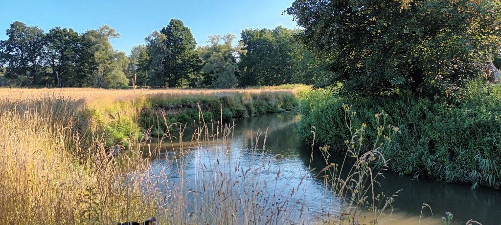 Homepage | Huisartsenpraktijk van Dr. Nele Vancaudenberg, Dr. Willem ...